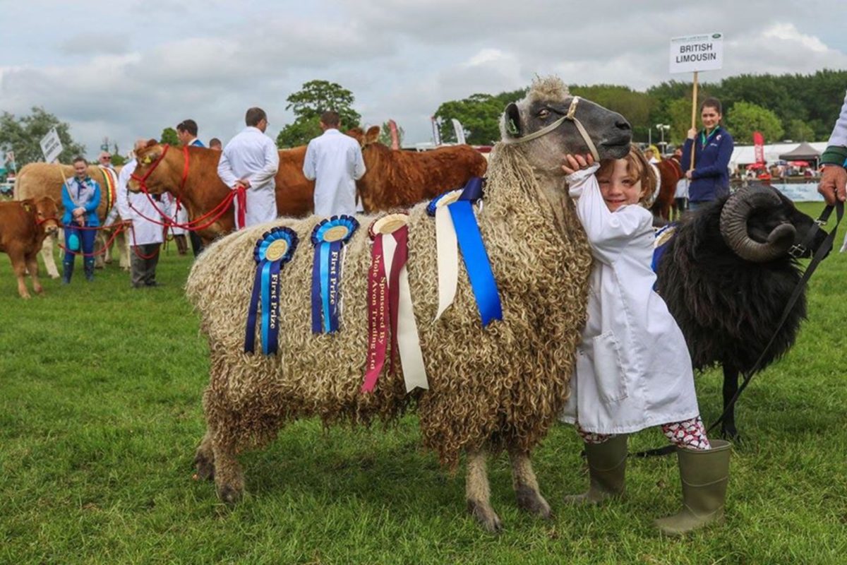 Devon County Show | Visit Ilfracombe