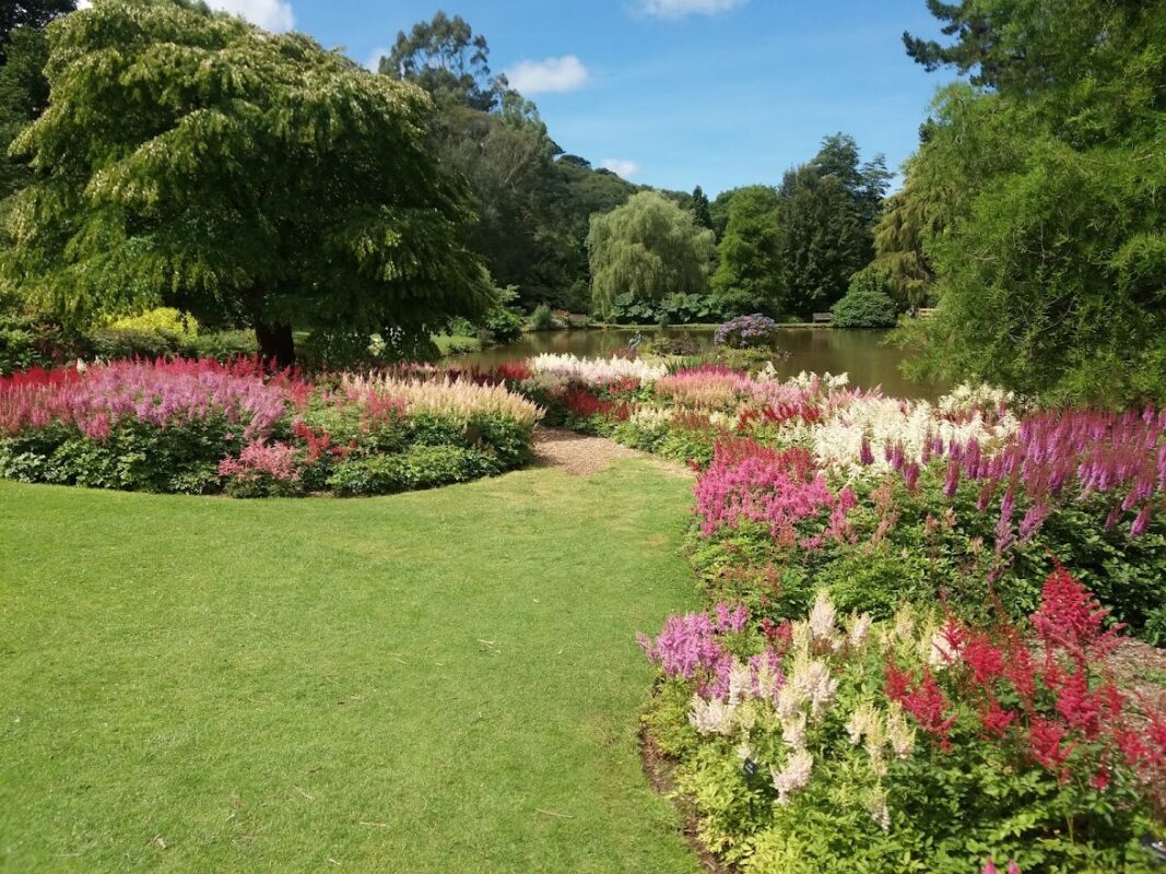 Gardens, coastal walks & hidden beaches in North Devon - Visit Ilfracombe